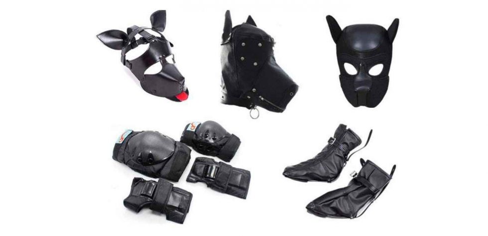 New to Pet Play? Here's What You Need to Know About This Unique Game