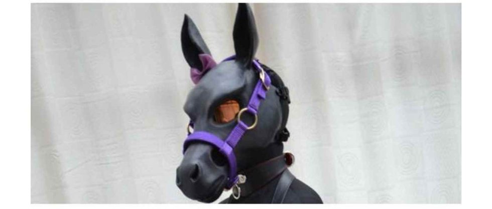 New to Pet Play? Here's What You Need to Know About This Unique Game