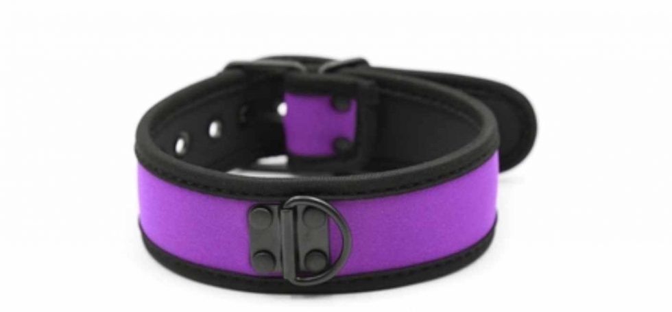 Pup Play for Beginners: Everything You Need to Know