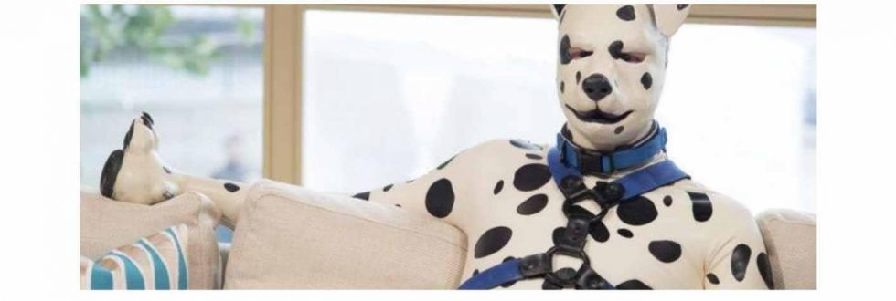 Pup Play for Beginners: Everything You Need to Know