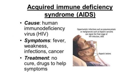 HIV Infection: What Is It and How Is It Prevented