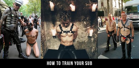Slave Training: A Dom's Guide on How To Train Your Sub
