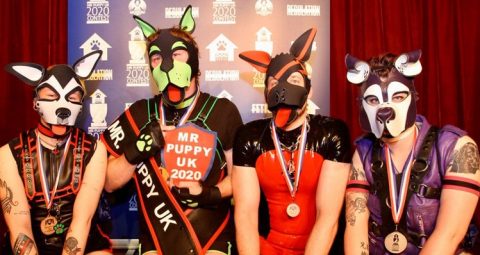 Why Is Pup Play So Popular？A Beginner's Guide to Pup Play & Gear