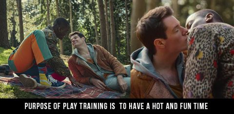 Slave Training: A Dom's Guide on How To Train Your Sub