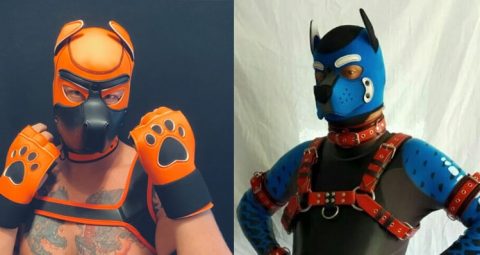 Why Is Pup Play So Popular？A Beginner's Guide to Pup Play & Gear