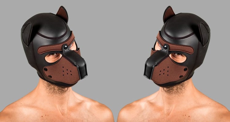 Why Is Pup Play So Popular？A Beginner's Guide to Pup Play & Gear
