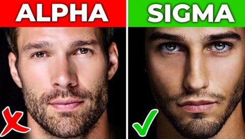 Male Personality Types: A Closer Look at the Sigma Male