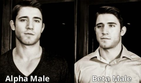 Male Personality Types: A Closer Look at the Sigma Male