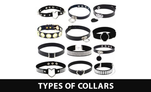 BDSM Collars: What is Collaring
