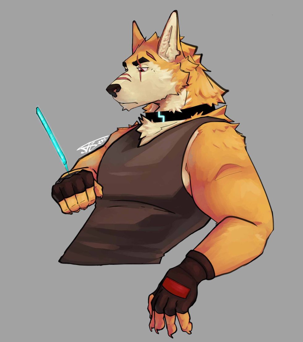 Furry Wolves: Blending Beauty and Beast