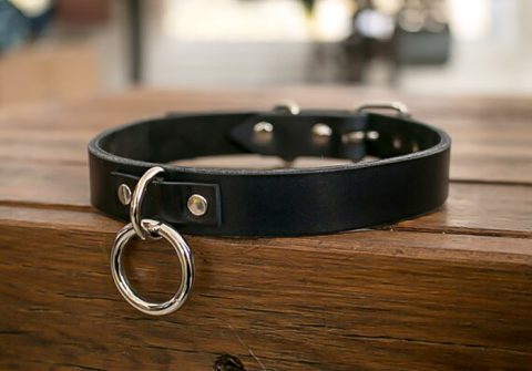 Collars Kink 101: An Entry-Level Guide for Beginners