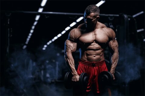Alpha Males and Muscle Worship: An In-Depth Exploration