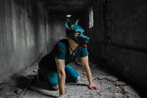 Pet Play 101 for Complete Beginners: What You Need to Know