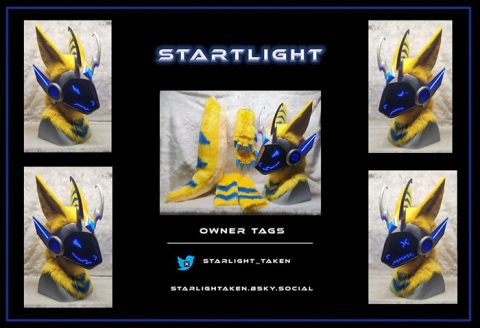 Protogen Ownership Guide: Exploring Basics and Customization Tips