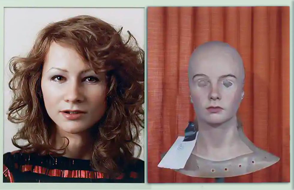 Masked Identities: Exploring Diversity, Desire, and Pride With ...