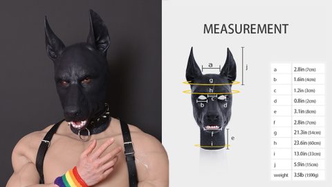 5 Easy Ways to Personalize Your Pup Hood for Maximum Comfort and Fun ...