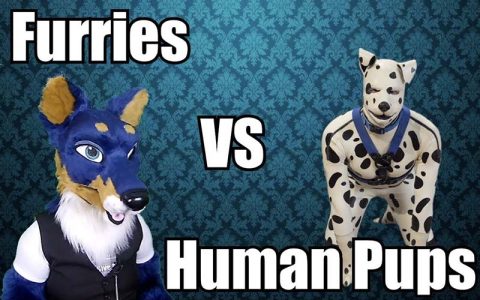 What is the Difference Between a Furry and Pup Play? - Silicone Masks ...