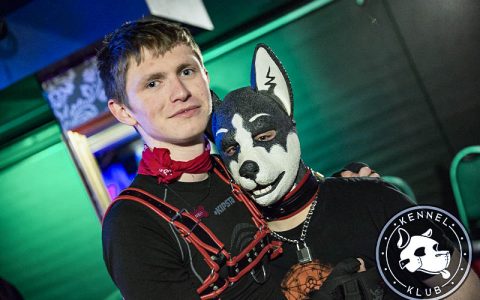 What is the Difference Between a Furry and Pup Play? - Silicone Masks ...