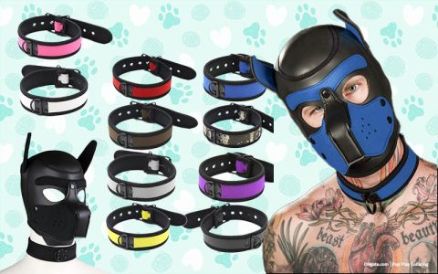 What Is Pup Play? A Complete Guide to This Kink and Its Appeal ...
