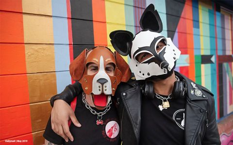 What is Pet Play? A Complete Beginner’s Guide to Pet Play - Silicone ...