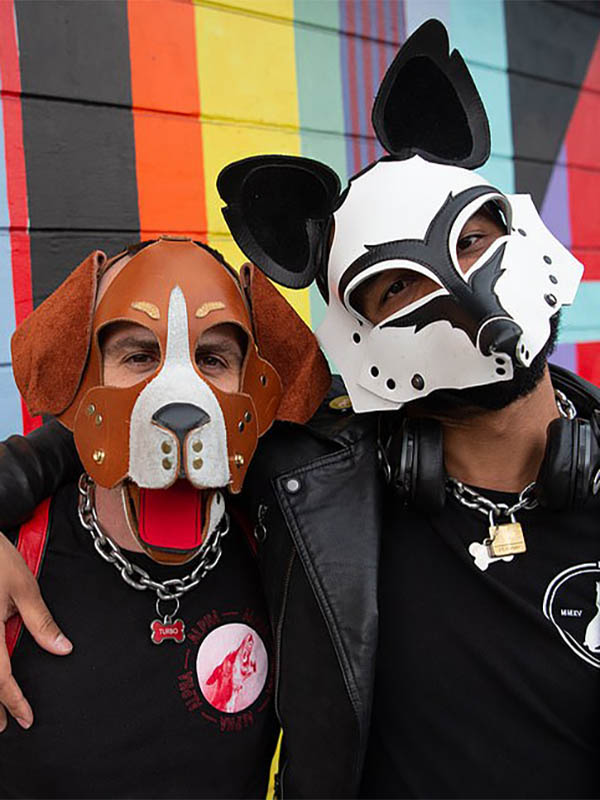 The 7 Most Exciting Hood Dog Accessories for Your Sexual Play ...