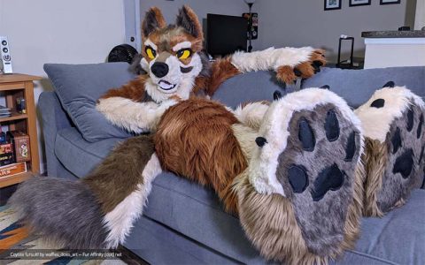 The Ultimate Guide to Fursona Ideas — From Wolves to Hybrids and Beyond ...