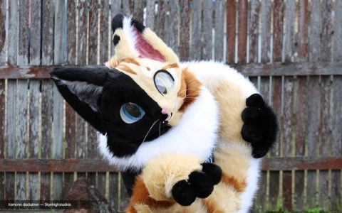 The Ultimate Guide to Fursona Ideas — From Wolves to Hybrids and Beyond ...